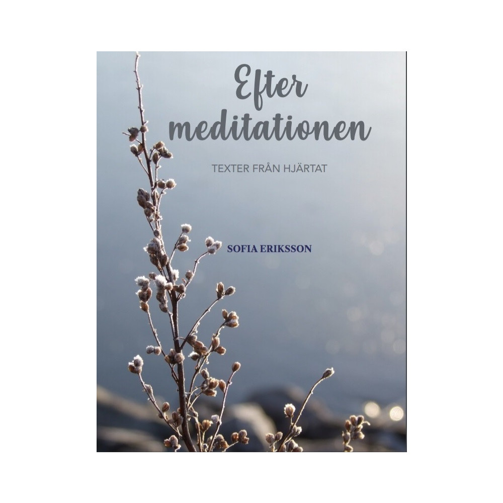 Köp Efter meditationen: texter från hjärtat (bok, kartonnage...