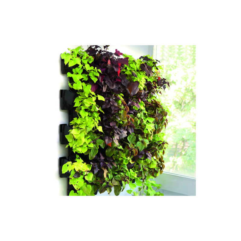 Köp Versa Garden - Green Wall Svart online | buyersclub.se